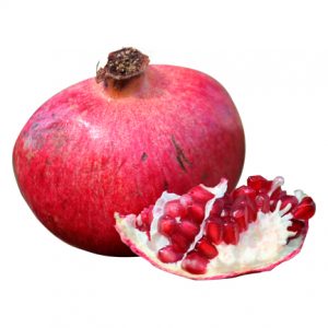 Fruit and Vegetable Purees and Concentrated Purees – Quirantefruits ...